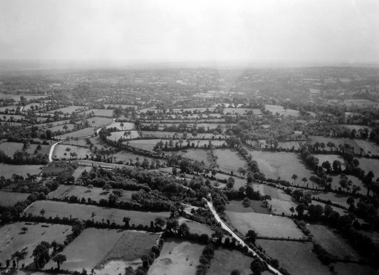 We Missed The Hedgerows | Northing & Easting